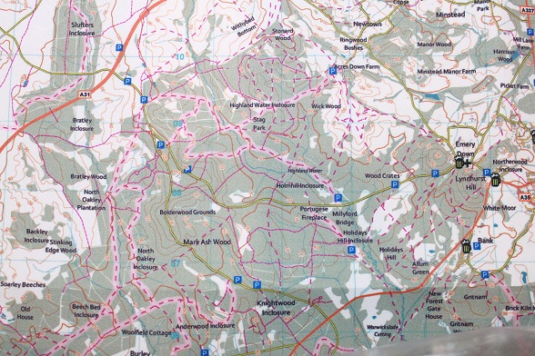 New Forest Map SplashMap- for your outdoor adventures